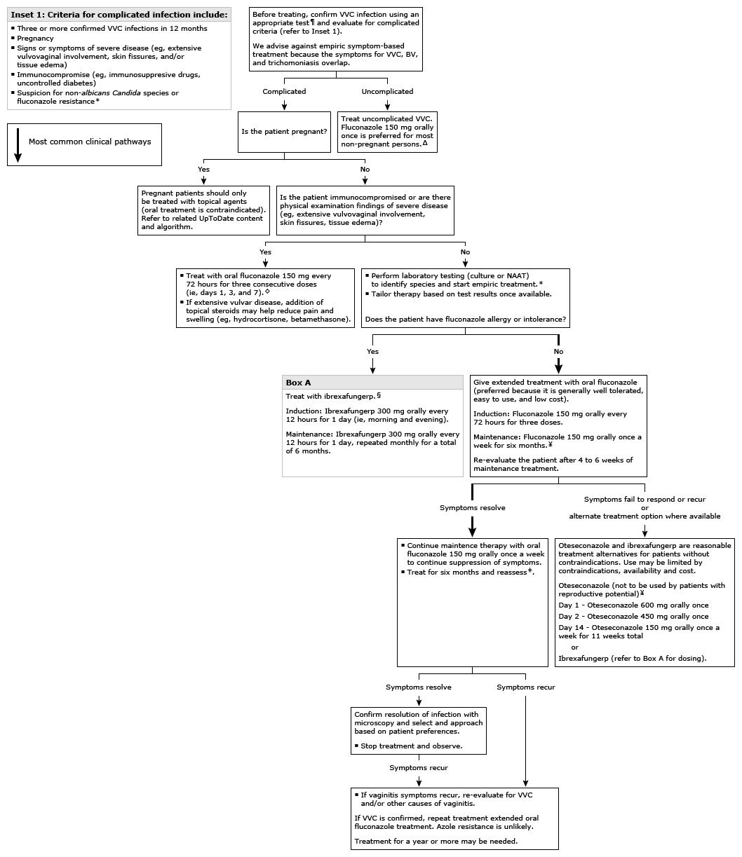Updated BV and YI treatment recommendations from the world’s leading ...