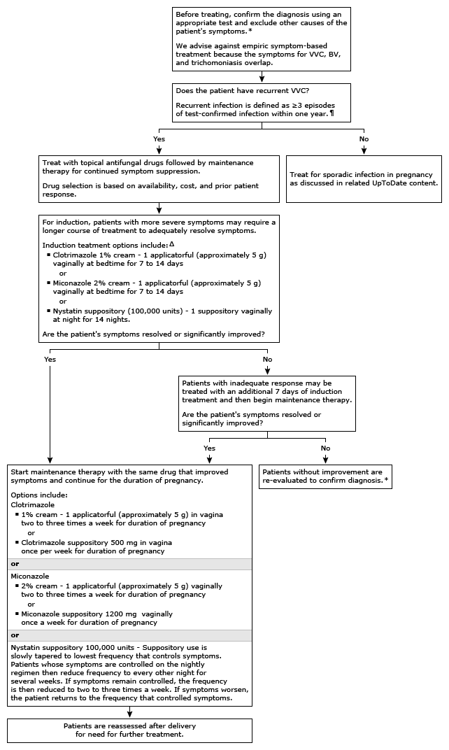 Updated BV and YI treatment recommendations from the world’s leading ...